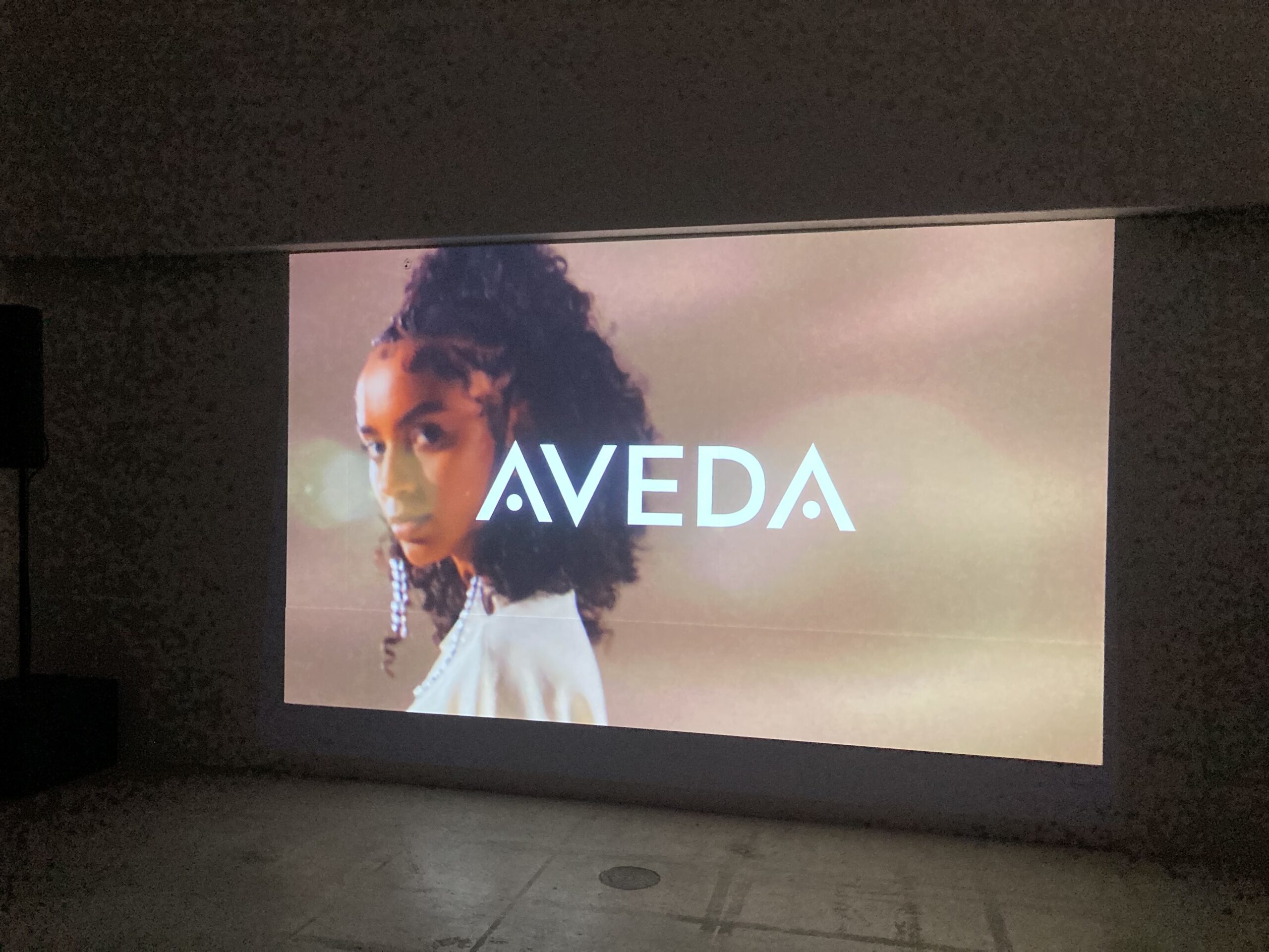 AVEDA上陸20周年を祝う | ボブログ